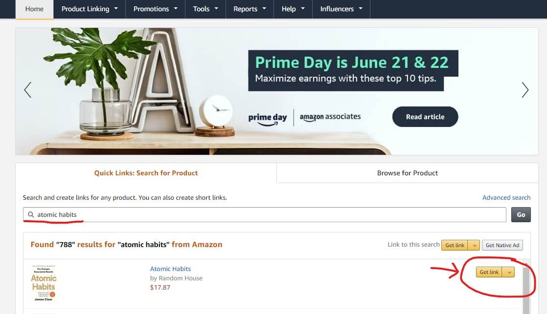 How to Add Affiliate Links for Amazon and other Programs to Blog Posts ...